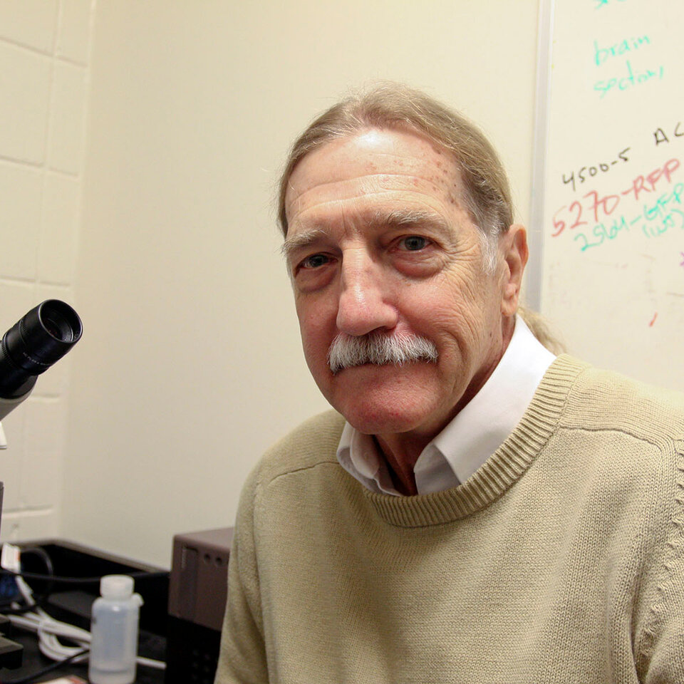 Faculty | School of Veterinary Medicine and Biomedical Sciences | Nebraska