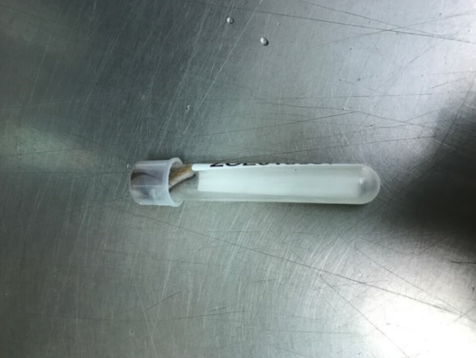 BVDV Testing | School of Veterinary Medicine and Biomedical Sciences ...